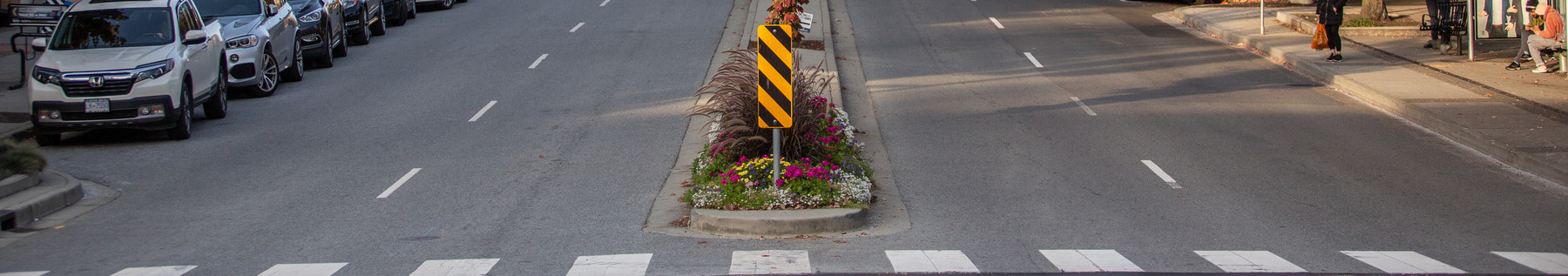 Curb Access & Parking Plan