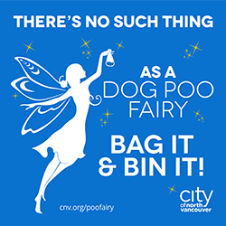 Poo Fairy